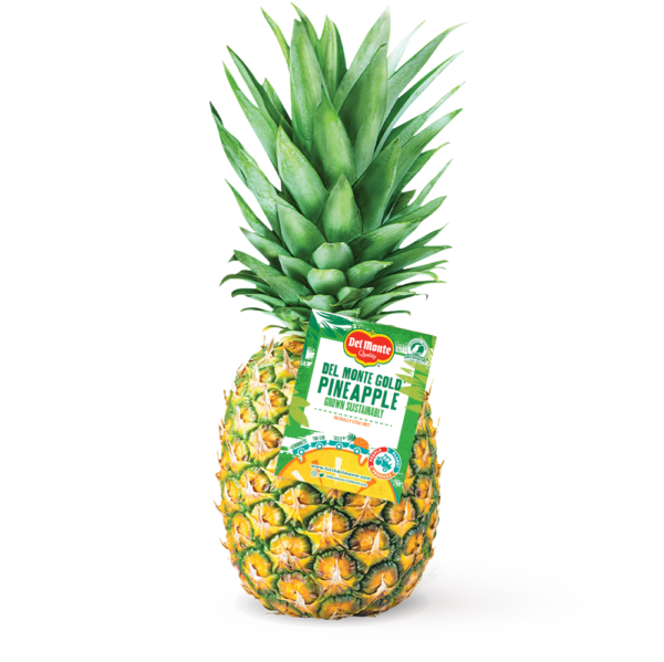 jet FReSh - Del Monte Arabia