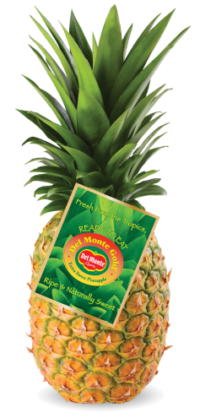 History - Del Monte Arabia